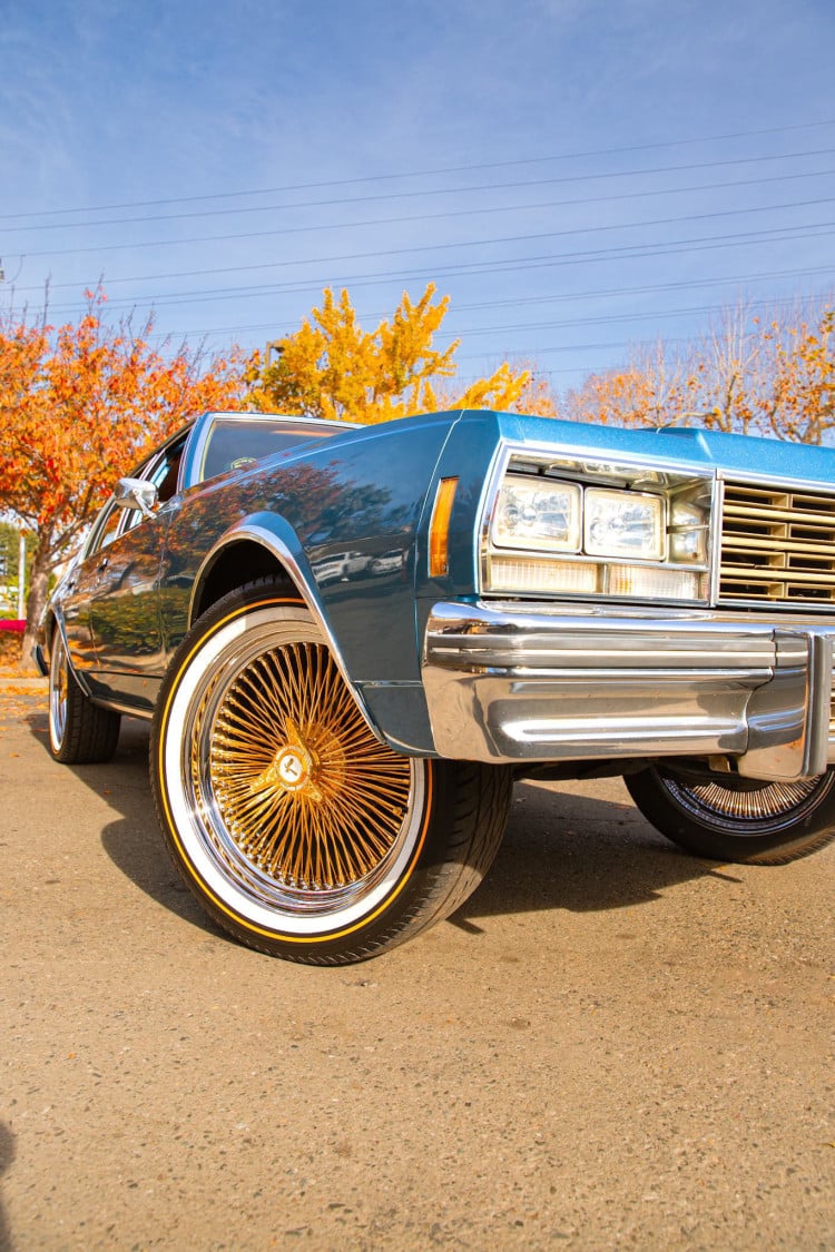 Gallery - Vogue Tyre