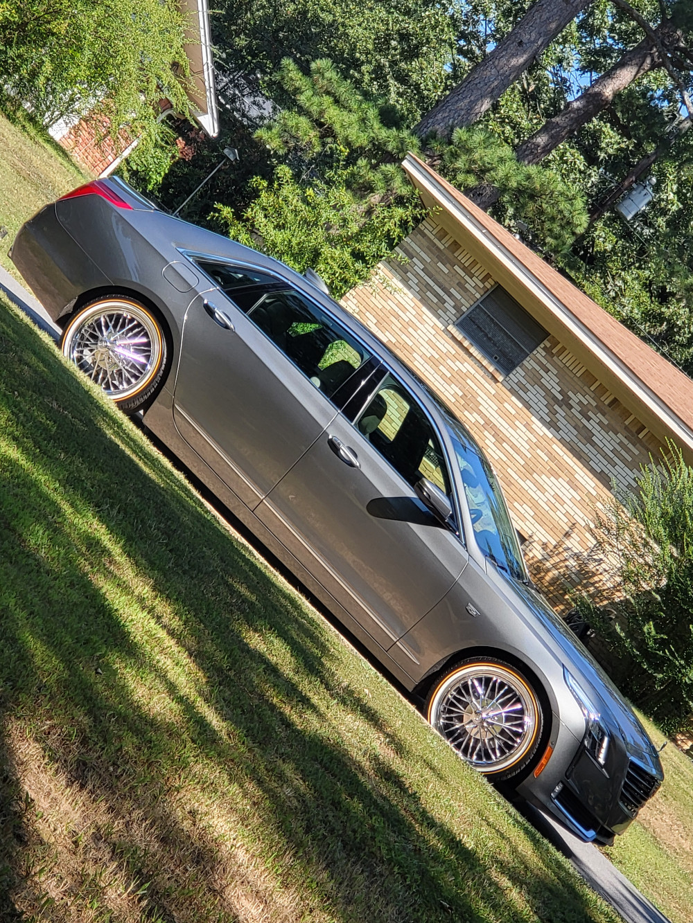 Gallery - Vogue Tyre